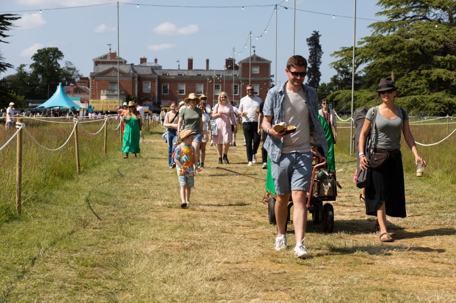 Interview with Harry, Red Rooster Festival’s founder | The Soul Of A Clown